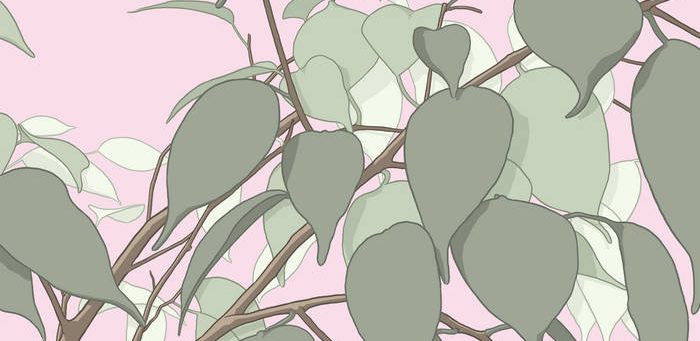 An Interview with Parent Teacher: Infrequently Asked Questions