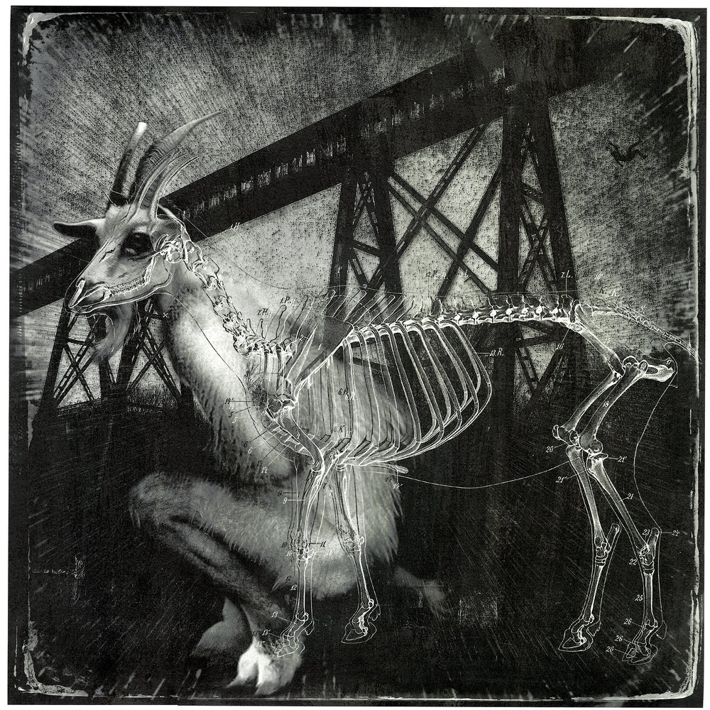 An Explanation of Sympathetic Magic: A Photo Essay