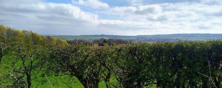 Review: Northern Kin Festival 2023