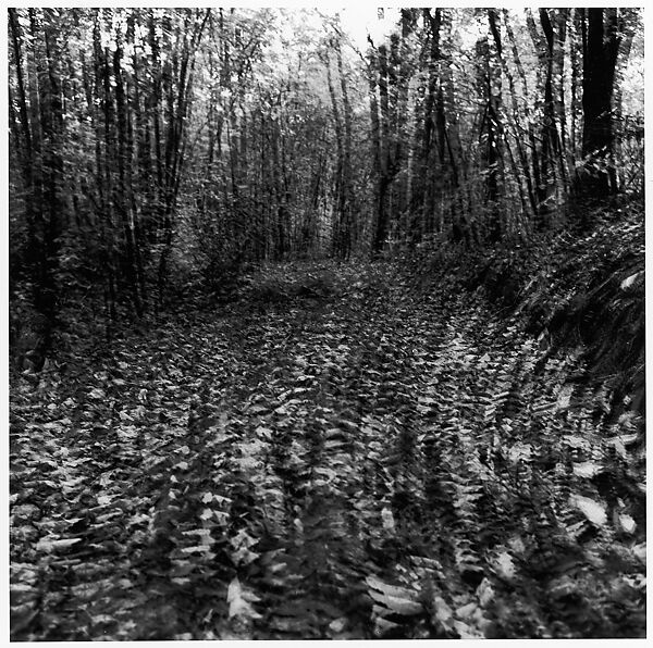 On the Verge of Surprise: The Wildly Strange Photography of Ralph ...